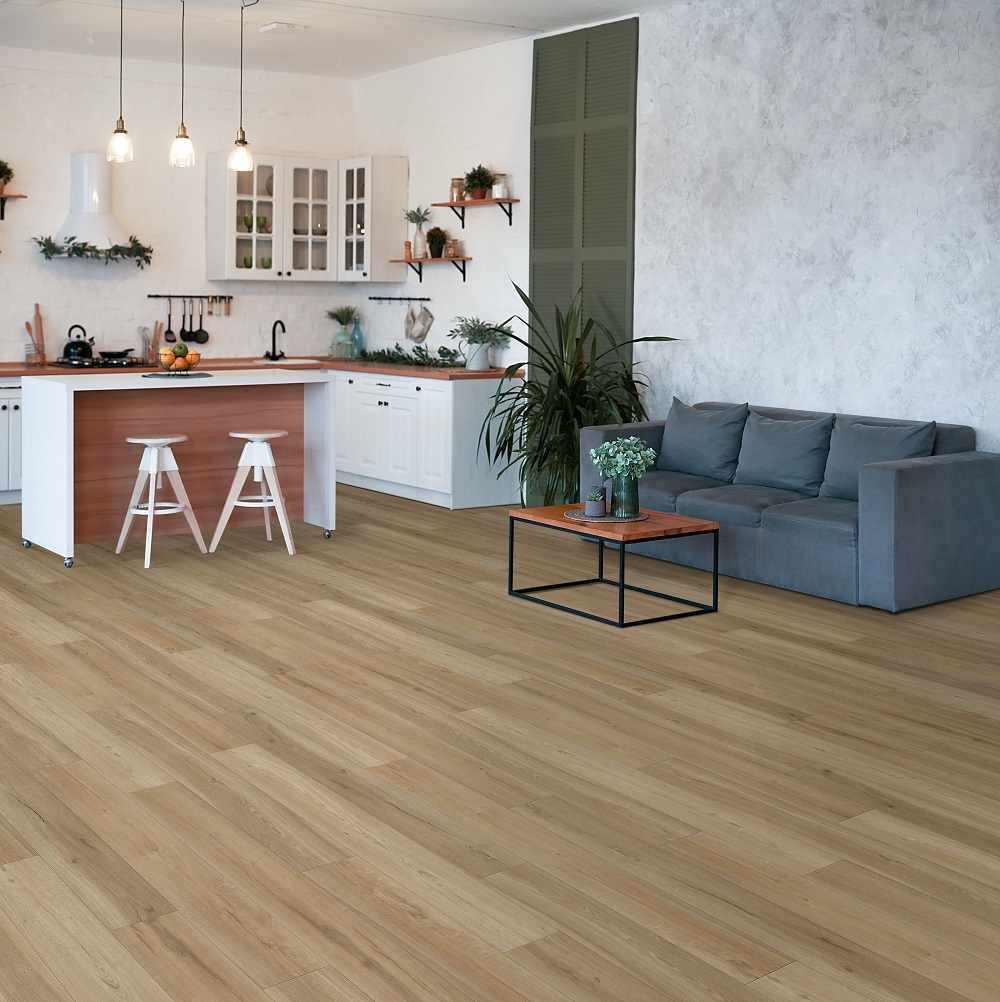 New Product Collection Released In November 2020